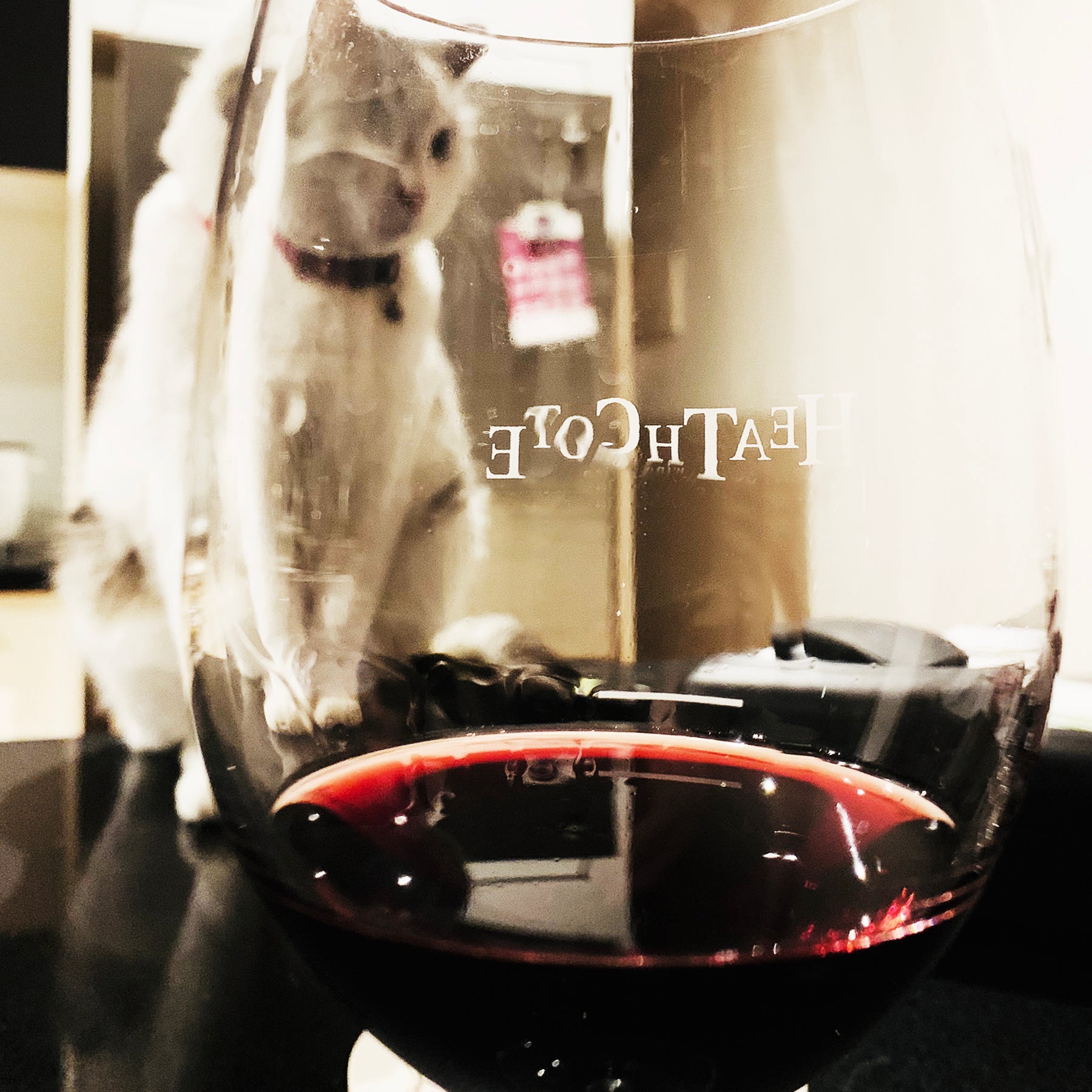 B Minor Wines – BM Wine Shop